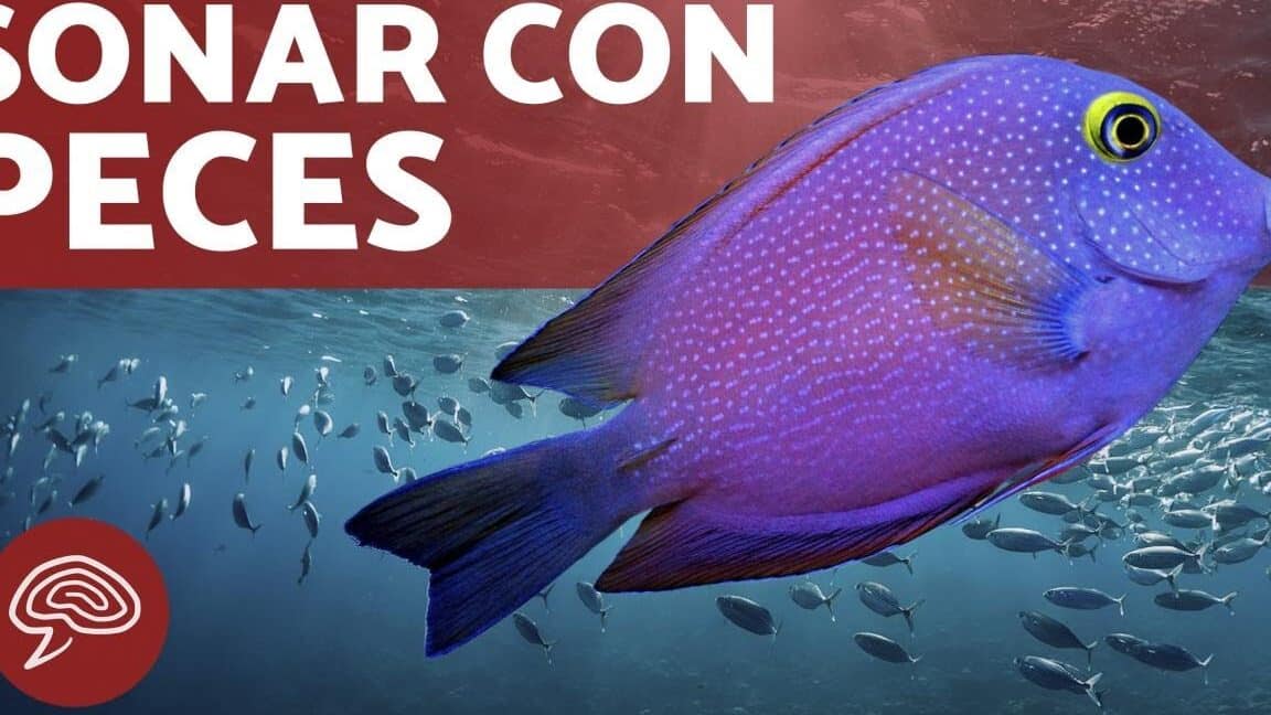 Descubre el significado de soñar con peces de colores