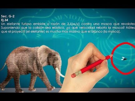 que es soñar con elefante furioso